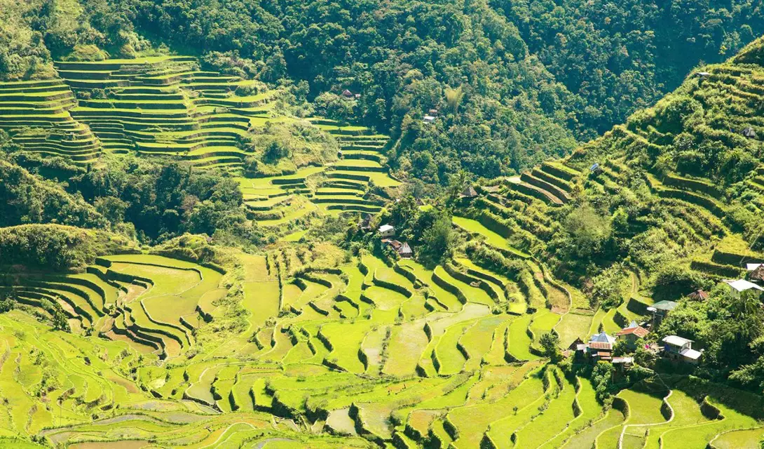 Desa cilik Batad, kanggo siji setengah ewu jiwa, dununge ana ing antarane sawah ijo ing Ifugao. Ora ana dalan sing amba menyang desa iki, nanging kesulitan munggah ing kene bisa dibenerake kanthi tampilan sing mbukak saka sawah.