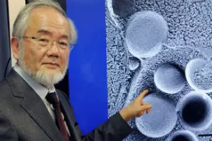 Một ngày đói: Khám phá đoạt giải Nobel