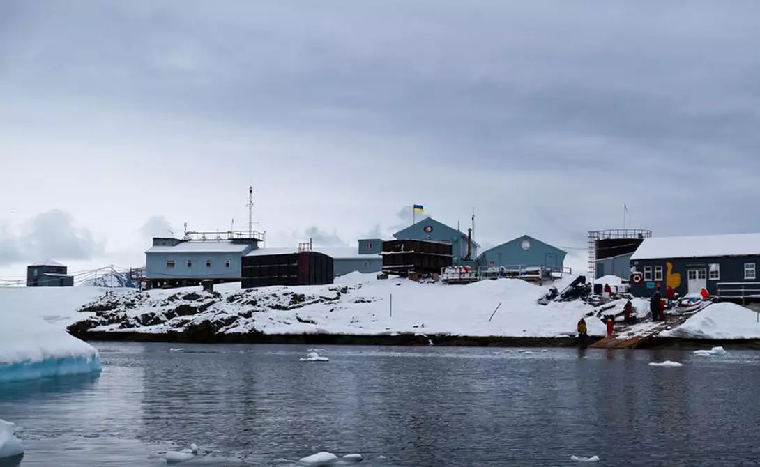 Quel continent sans son propre bar ! Le personnel de la station de recherche Vernadsky peut s'offrir les boissons les plus froides.