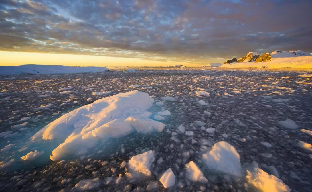 L'Antarctique est le cinquième plus grand continent du monde.