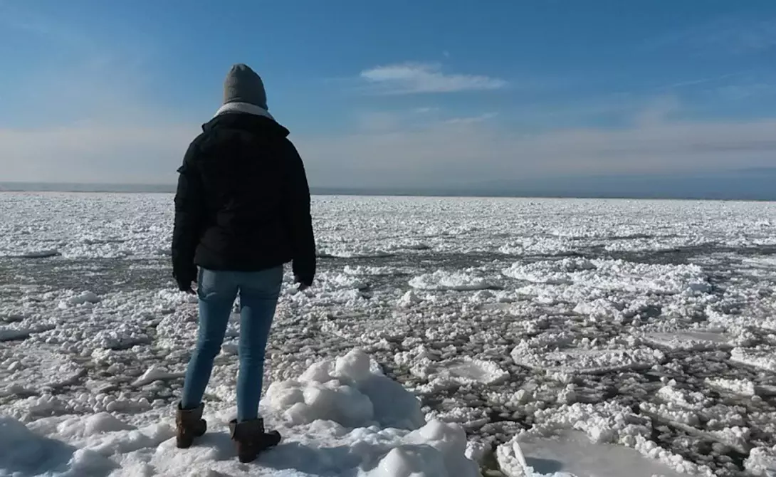 L'existence de l'Antarctique était une surprise. Ce n'est qu'en 1820 que les gens se sont rendu compte qu'il n'y avait pas devant eux un groupe d'îles, mais tout un continent.