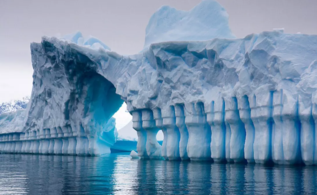 L'Antarctique a son propre domaine de premier niveau. Les sites locaux se terminent par .aq