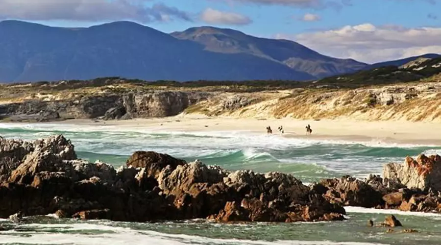 Gansbaai Beach South Africa A na -ahụta ebe ndị njem ama ama na mpaghara ndịda ndịda South Africa dị ka "isi obodo shark" nke oke osimiri. Site n'April ruo Septemba, ọtụtụ puku nnukwu azụ shark na -agbakọta iji fesaa na mmiri dị n'ụsọ osimiri. Kedu onye na -anwa anwa igwu mmiri ebe ahụ?