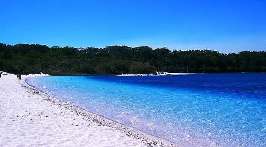 Fraser Island Australien På trods af mange vidunderlige strande med hvidt sand og varmt, krystalklart vand er den australske Fraser Island ekstremt farlig for rekreation. De øde strande er hjemsted for dødelige edderkopper og vilde dingohunde, der ofte angriber mennesker. Hav? Giftige vandmænd og hajer venter på den skødesløse bader.