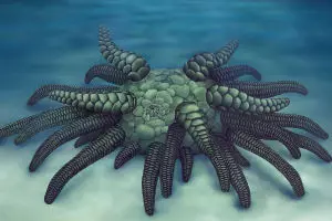 Wissenschaftler haben eine Kreatur gefunden, bei der es sich möglicherweise um den Kraken aus der Legende handelt