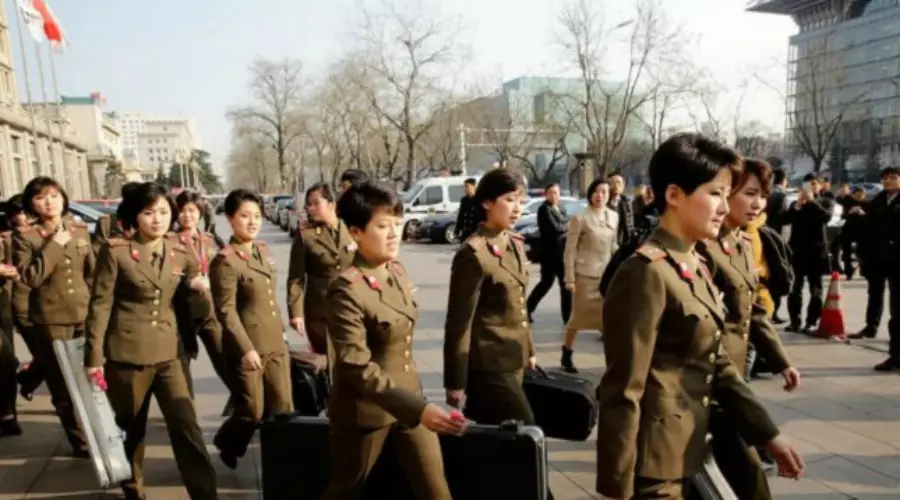 海洋訓練 該小隊由 2,000 名女孩組成。他們在全國范圍內被選中，沒有人敢反對決策者。然後將新任命的保鏢送去訓練。每個人都在特種部隊軍官的嚴格監督下接受強制性軍事訓練。結果，我們得到了這樣一個廣泛的陣容：在舞台上招待領導，並在發生任何事情時保護他免受子彈襲擊。