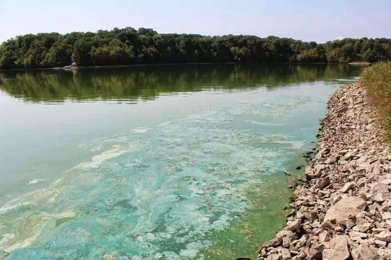 Ang Estados Unidos ng Mississippi Ang Dakong Mississippi ay palaging naging pangunahing ilog ng USA. At hanggang sa ang isang tao ay madala ng kimika, ang tubig nito ay isinasaalang-alang ang purest sa buong bansa. Ngayon, ang pagpunta sa ilog ay simpleng nagbabanta sa buhay: noong 2015 lamang, maraming malalaking alalahanin sa kemikal ng Amerika ang nagbuhos ng 13 milyong toneladang nakakalason na basura dito.