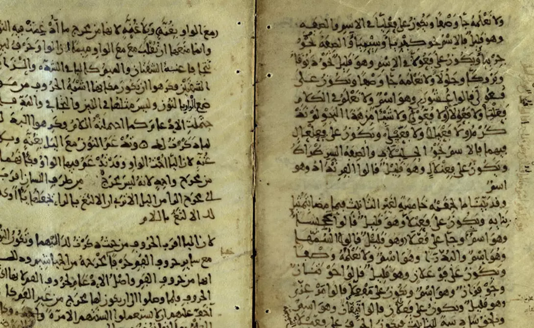 Puo ea Persia ea Persia ke ea lekala la Indo-Iranian la lipuo tsa Indo-European. Ho tloaelehile Afghanistan, Iran le Tajikistan. Puo ena ke setloholo se hole sa Sassanid, mme Persia e buuoa ke batho ba limilione tse 110 ho pota lefatše.