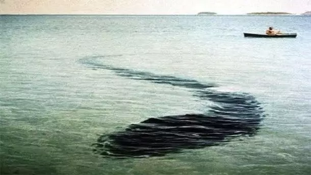 Underwater Monster French photographer Robert Serrier was taking a walk around the Australian island in a small boat when he noticed with horror a huge shadow under the water. Exposure was enough for Robert for exactly one photo.