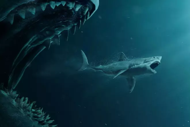 5 willekeurige video's van Megalodon die op camera wordt vastgelegd