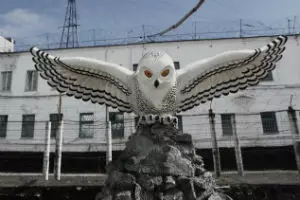 Owl Polar: Burgu më verior i Rusisë