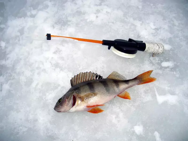 Alcohol Never take alcohol with you on a fishing trip. He, of course, warms well, but dulls the sense of danger and disrupts coordination. What happens to those who behave inadvertently on the ice, see the previous point.