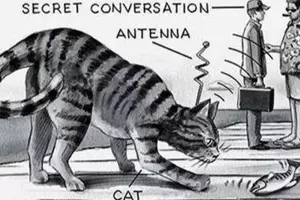 The Spy Cat and the Moon Explosion: The Secret Plans of the Cold War