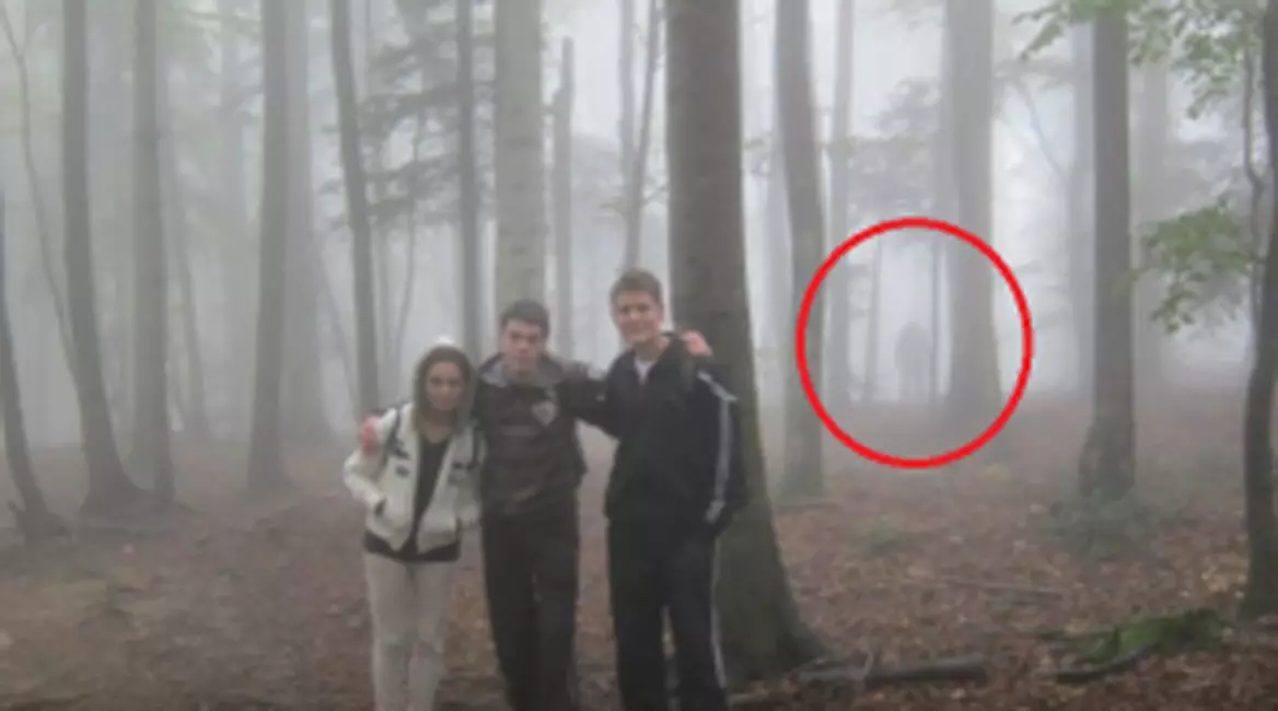 Yeti Isang pangkat ng mga kaibigan ang kumuha ng larawang ito habang naglalakad sa kagubatan ng Yosemite. Kapag naka-print, isang kakaibang pigura ng humanoid ang lumitaw sa larawan - at ang mga turista ay nagkakaisa na inaangkin na hindi nila nakita ang anumang katulad nito.