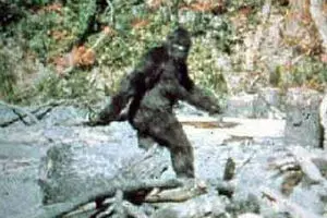 Odkiaľ pochádza Bigfoot