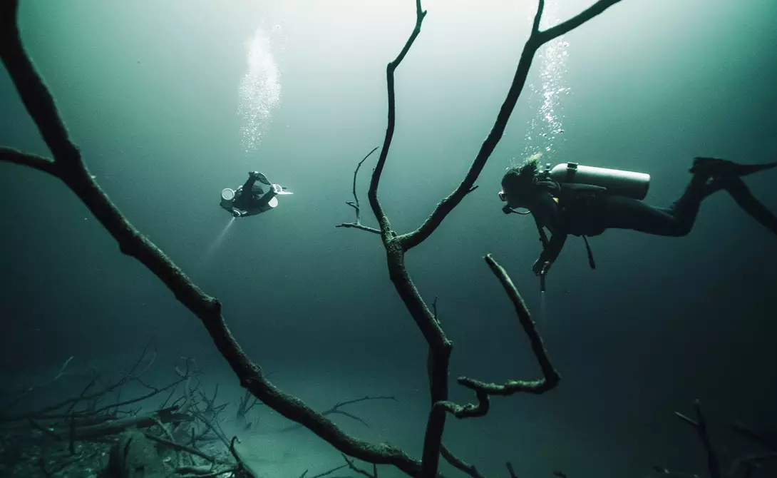 Mekka fir Divers Taucher gär dës Plaz fir säi mystesche Halo a Schéinheet, vergläichbar mat engem dreemen Dram. Tatsächlech provozéiert d'Ënnerwaasserlandschaft vum eenzegen Ënnerwaasserfloss vun der Welt vague Associatiounen mat auslännesche Landschaften: e richtege Floss fléisst op enger Déift vun e puer Meter, laanscht déi richteg Beem schéngen ze wuessen.