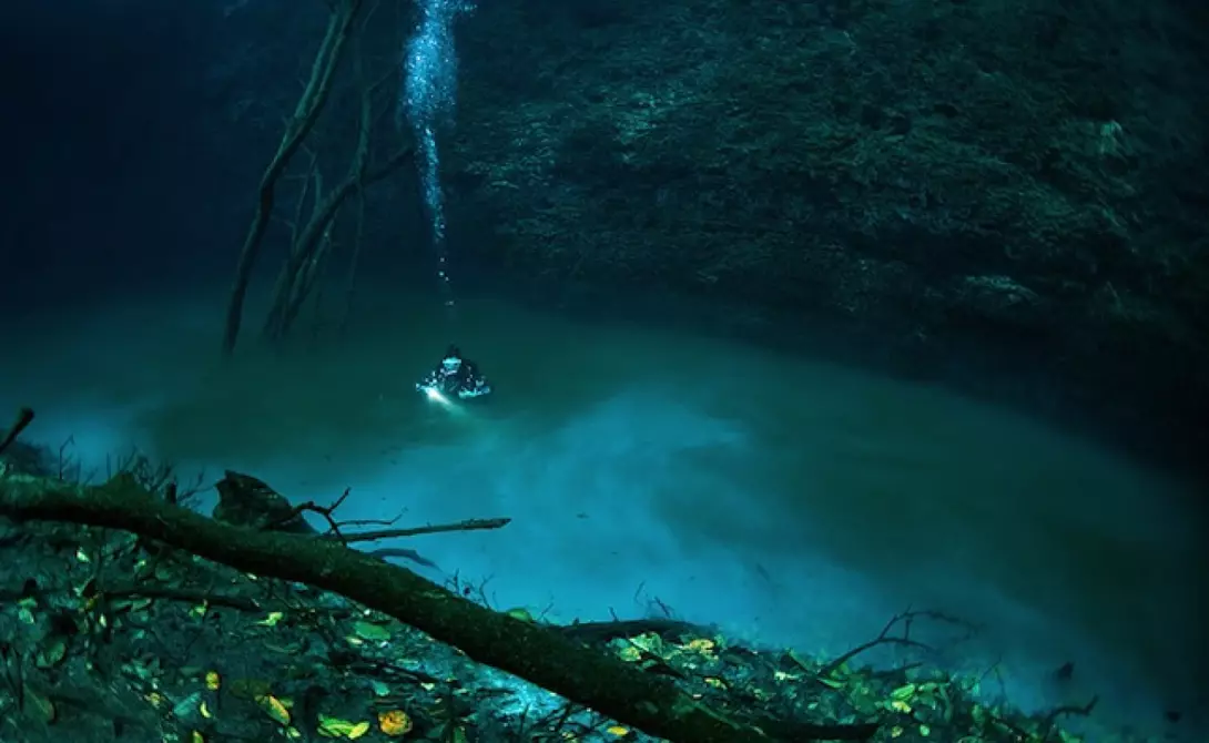 Cenotes Drevne Maje cijenile su cenotes kao mjesto odakle živi mogu otići u kraljevstvo mrtvih. Koristili su se u mnogim ritualima za žrtvovanje, a danas Cenote Angelica donosi arheolozima sve više podataka o davno izgubljenoj civilizaciji.