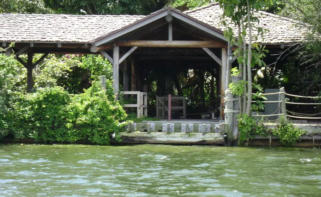 Disney Island Disney abandone zile bèt la te prèske atraksyon ki pi enteresan nan mond lan. Walter Disney tèt li louvri l 'tankou yon kay pou anpil bèt ekzotik. An 1999, otorite yo te fèmen pak san parèy la, epi sèlman kraze ansyen bèl li yo te rete sou zile a.