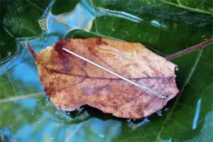 Making a compass with your own hands