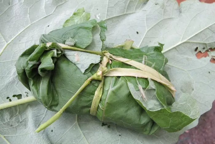 Folija Jei per iškylą baigėsi folija arba, dar blogiau, pamiršote ją namuose, miške galite lengvai rasti alternatyvą. Varnalėša gali lengvai susidoroti su tomis pačiomis kulinarinėmis užduotimis. Maistas, keptas ant ugnies, suvyniotas į tris varnalėšų sluoksnius, savo skoniu ir aromatu jokiu būdu nėra prastesnis už tą, kuris buvo virtas klasikinėje folijoje. Kad lapai neišsiskleistų virimo metu, juos galima laikyti kartu, pavyzdžiui, su liepų žieve, suskaldyti į pluoštus.