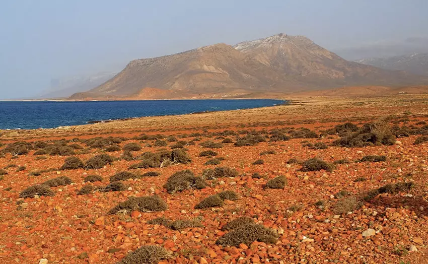 The main island is characterized by three types of relief: narrow coastal plains, a limestone plateau riddled with karst caves, and the Hagjer Mountains, whose maximum height is 1525 meters.