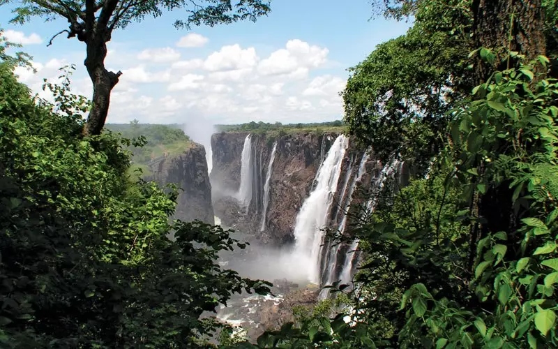 Zona de rezervă transfrontalieră Okavongo-Zambezi: 444.000 km² Zona de conservare acoperă terenurile din Angola, Botswana, Namibia, Zambia și Zimbabwe pe continentul african. Această rezervație include mai multe parcuri naționale, inclusiv Parcul Național Chobe, Parcul Național Hwanga, Delta râului Okavongo și Cascada Victoria. Rezervația transfrontalieră a fost creată pentru a încuraja turismul, precum și pentru migrația liberă a animalelor peste granițe.