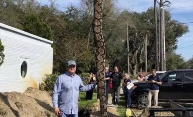 De loodgieter klom in de leiding om de verstopping op te ruimen, maar in plaats van vodden en puin vond hij daar een gigantische 7 meter lange python.