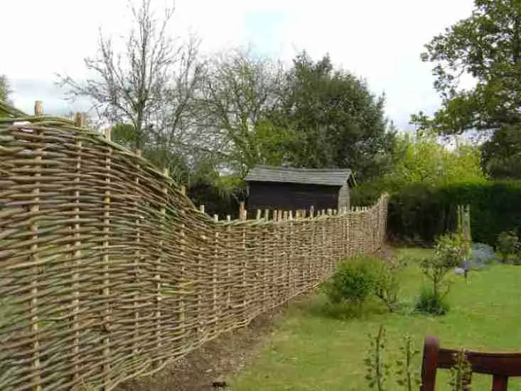 Cerca Não seja preguiçoso preparando seu jardim. Seu site deve estar em uma área aberta e bem iluminada. As plantas precisam de proteção contra os ventos do norte. Para o efeito, pode ser colocada uma pequena sebe no lado norte.