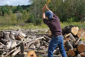 Lumberjack Training