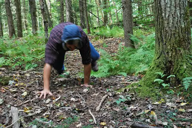 Bear Gap Fai appello al tuo spirito guida (fallo oggi un orso) per aiutarti a fare uno degli esercizi di riscaldamento. Mettiti a quattro zampe in modo che le ginocchia non tocchino il suolo. Trova una collina bassa e scalala rimanendo in questa posizione. Adesso scendi. Il corpo, costretto a mantenere un equilibrio insolito, metterà a dura prova tutti i muscoli: questo è ciò di cui abbiamo bisogno.