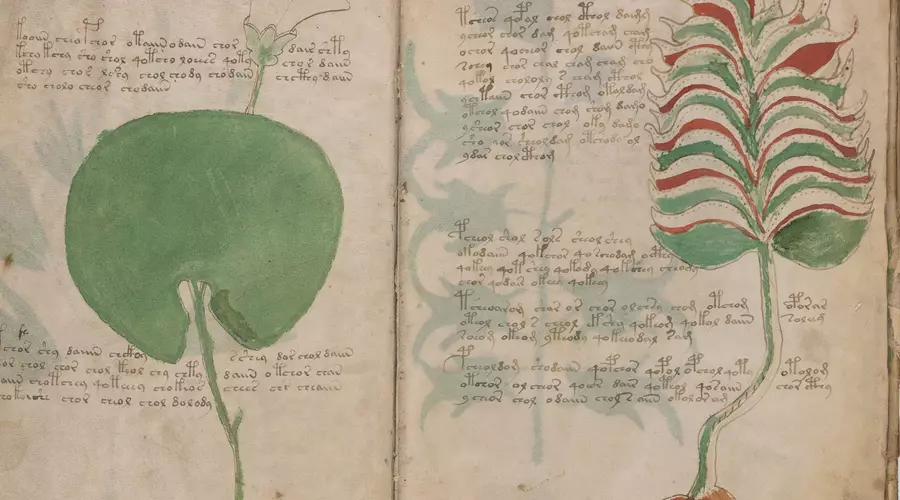 Manuscrisul Voynich Această carte antică sfidează descifrarea. Manuscrisul ar spune despre o civilizație diferită care trăiește într-o lume paralelă: unele desene descriu creaturi absolut incredibile, în timp ce altele arată realități complet pământești. Manuscrisul Voynich nu poate fi o farsă, deoarece analiza textului a arătat structura sa completă.