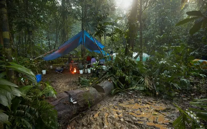 ความท้าทายและแผนในอนาคต National Geographic รายงานว่าความท้าทายที่ยิ่งใหญ่ที่สุดในขณะนี้คือการปกป้องไซต์จากผู้ปล้นสะดมและบริษัทตัดไม้ทำลายป่า เมื่อพื้นที่ปลอดภัยแล้ว นักโบราณคดีจะสำรวจซากปรักหักพังโบราณต่อไปและเริ่มรายการสิ่งของที่พบ เมื่อพิสูจน์คุณค่าแล้ว Lidar จะใช้ตำแหน่งที่ถูกต้องในคลังแสงของนักโบราณคดีทั่วโลก