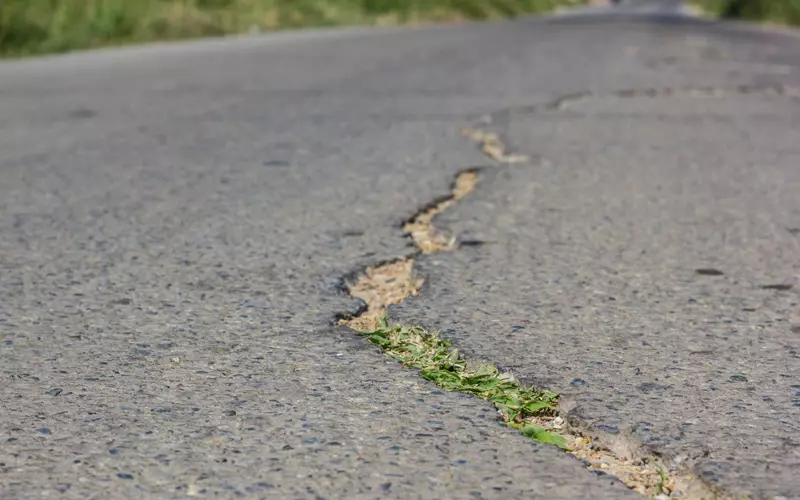 Soda kontwòl raje pwomès viktwa sou tèt fè mal la p'ap janm fini an nan jardinage. Kesyon an rezoud nan yon fason elemantè: move zèb yo bezwen ranpli.