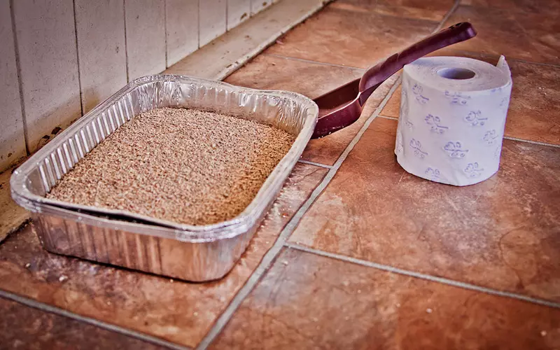 Walang Amoy na Tray ng Cat Bago ibuhos ang basura sa basurahan, takpan muna ang ilalim ng isang manipis na layer ng baking soda. Sinusundan ito ng tagapuno mismo, at ang soda ay muling nagsisilbing pangwakas na layer.