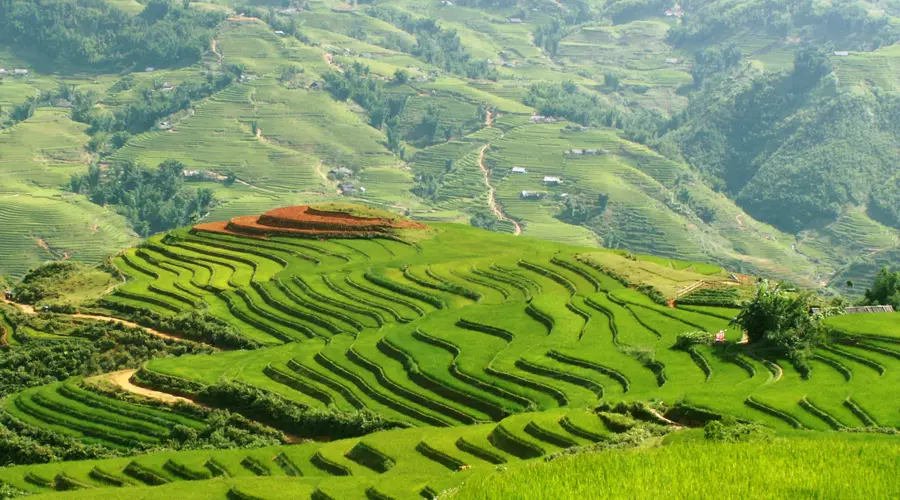 Sapa Vietnamesernes liv fra denne landsby har ikke ændret sig i århundreder. Rismarkerne vil blive dyrket, selvom det andet kommer - religion er religion, og du skal spise hver dag.