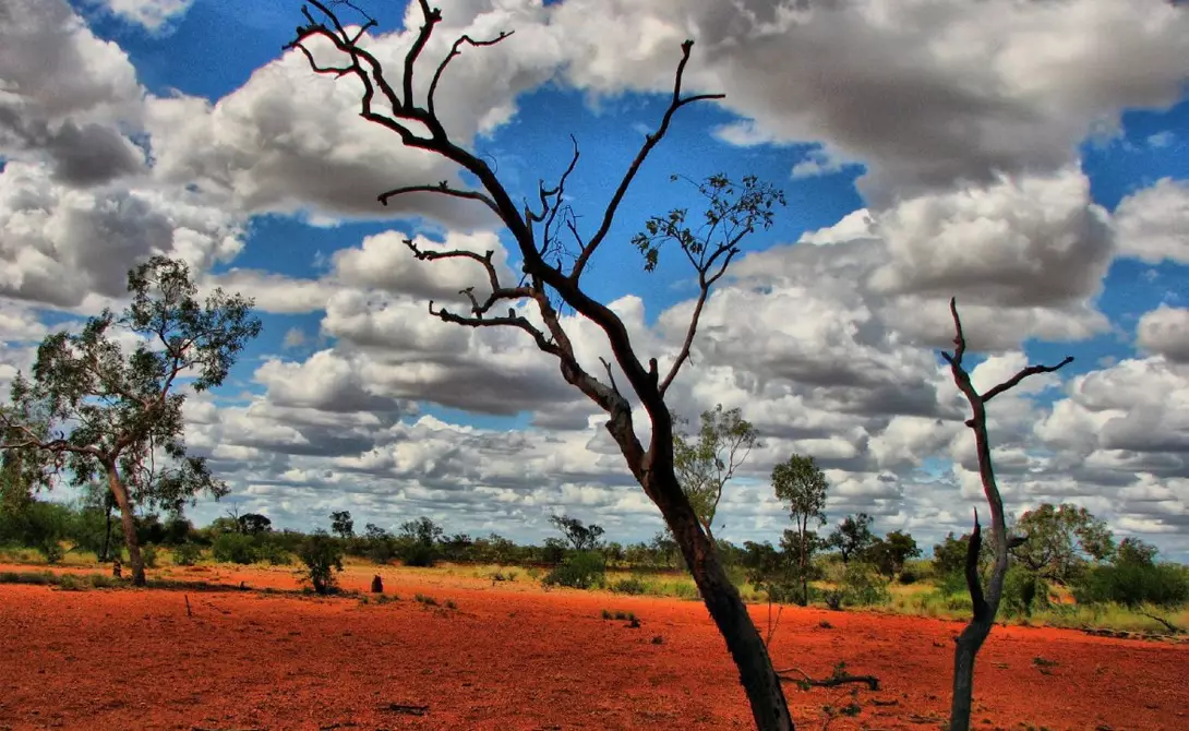 Wastelands Australia Konstanta mätningar i den australiensiska outbacken är utmanande, men denna glesbygd är känd för sitt ljumma temperament, särskilt under perioder av torka. Wasteland -rekordet sattes förra året: NASA -satelliten rapporterade mätningar vid 70 grader.