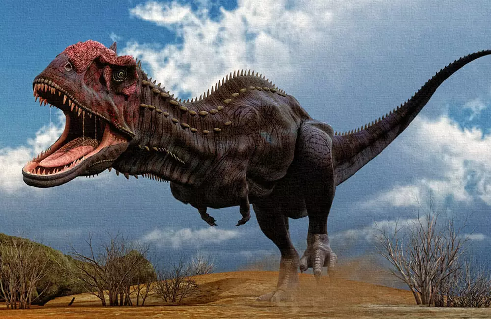 Mayungasaurus Nisbətən kiçik olan Mayungosaurusun (cəmi doqquz metr uzunluğunda) təsirli kütləsi bir yarım ton idi. Bu dinozavrların son dərəcə zəif görmə qabiliyyəti var idi və qoxuya güvənirdilər - arxeoloqlar Majungosaurusun müasir bir qan ovundan əvvəl yüz xal verə biləcəyini iddia edirlər. Mayungosaurs ov edərkən, yalnız pençələri deyil, həm də burun deşiklərinin üstündə böyüyən xüsusi bir buynuzu da istifadə edirdi.