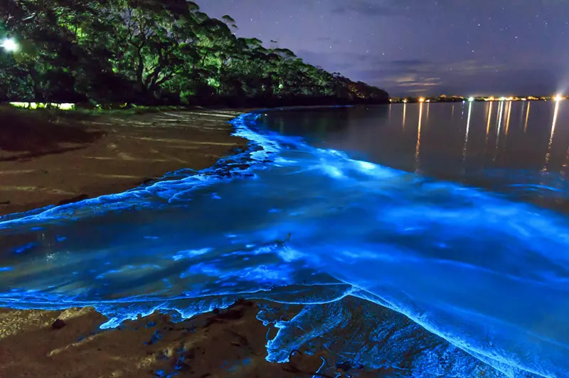 La nuit, les eaux côtières de l'île de Vaadu sont illuminées par des milliers de lumières bleues. La source lumineuse est le phytoplancton. Le rétroéclairage bleu "allume" une impulsion électrique résultant du mouvement oscillatoire des ondes.