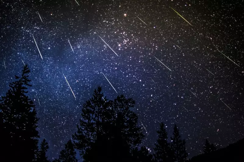 Dust particles released by comet Swift-Tuttle burn up in the earth's atmosphere, falling out in the form of a rain of stars. In August, the number of meteors reaches its maximum: up to 60 meteors fall per hour, creating an incredible show in the sky.