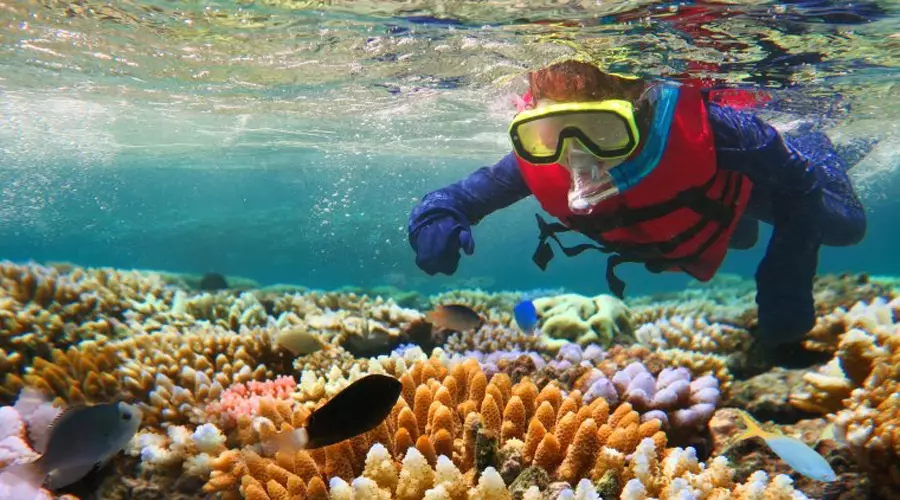 Great Barrier Reef Oceanologerna förutspår att det berömda Great Barrier Reef kommer att skadas irreversibelt år 2030. Koldioxid påverkar koraller negativt, och global uppvärmning avslutar det destruktiva arbetet. Den australiensiska regeringen försöker bromsa förstörelsen av koraller, men människan är maktlös mot naturen.