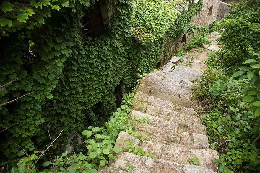 Thanks to the warm and humid climate, a real jungle has grown among the facades of houses, almost completely hiding the structures.