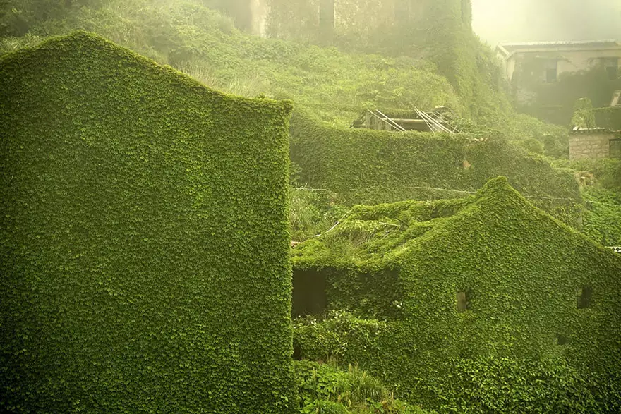 D'Vegetatioun huet d'Gebaier komplett absorbéiert, wat se en Deel vun der Ëmgéigend Landschaft mécht.