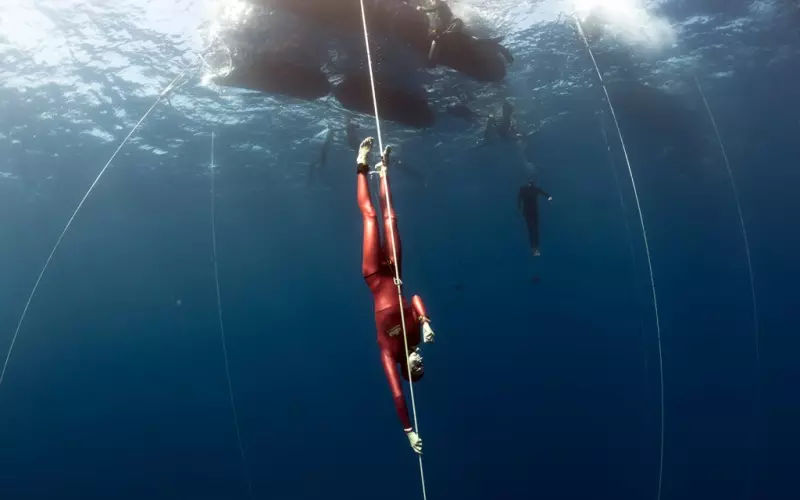 Aprèn a respirar profundament Respira. Només us van pujar les espatlles i el pit, oi? Si és així, només utilitzeu la part superior dels pulmons per respirar i respireu incorrectament. Si voleu inspirar més oxigen per fer immersions profundes, heu de començar a utilitzar tota la vostra capacitat pulmonar. La respiració correcta comença des del diafragma. Respireu profundament per la boca i imagineu-vos que els pulmons s’omplen d’oxigen a partir del fons. Ara s’omplen fins al diafragma. A més, l’aire ja ha arribat a l’estèrnum. Finalment, la part superior dels pulmons del pit superior s’omple d’aire. Segons els apneistes professionals, una respiració profunda hauria de trigar 20 segons.