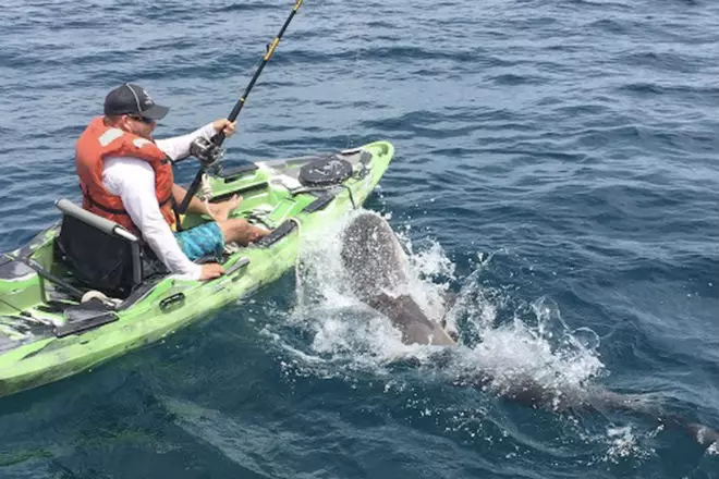 O pescador pegou um tubarão e o predador quase o arrastou para o fundo