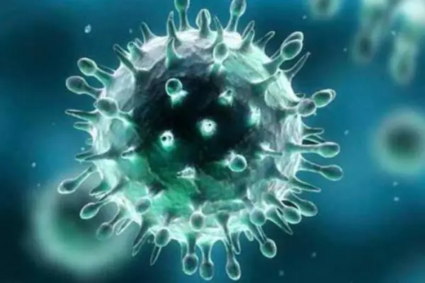 India fue atacada por un nuevo virus desconocido para la ciencia