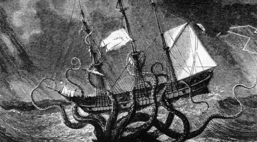 Attack on a Boat Stories about giant krakens capable of dragging an entire ship under water may well be based on real stories. In 1922, Robin Leslie took a boat out into the bay off New Jersey. Leslie did not have time to fish properly: a huge tentacle appeared from the water, tightly wrapped around the mast. The second tentacle grabbed Robin himself - the octopus would have dragged him under the water if there was no other boat nearby. People came closer and shot the tentacle on the mast, after which the underwater hunter decided to look for easier prey.