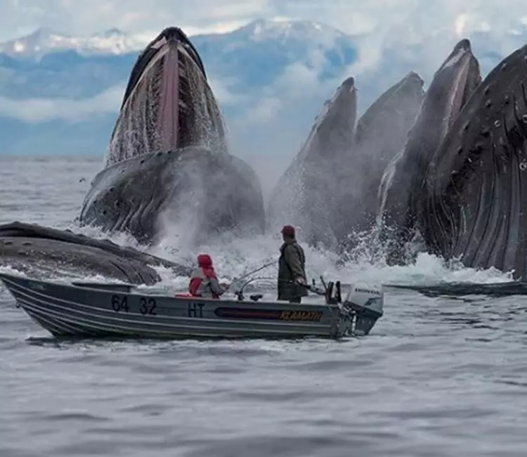 Noen ganger trenger du ikke engang å dykke. Havet kommer til deg!