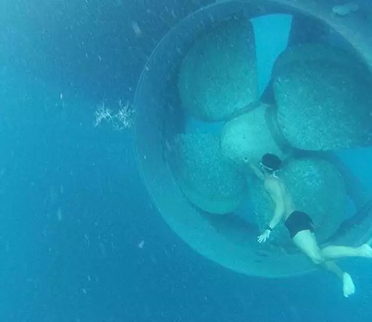 Enorme colós de vaixells que travessen l’oceà. Cargols que es poden apretar per si mateixos de manera que no tornareu a veure el cel.