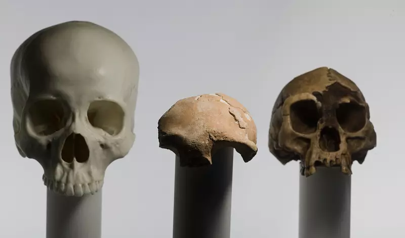 Hier werden de graven van de Flores-mensenstam gevonden. Deze stam is misschien wel de ontbrekende schakel tussen Homo erectus en zijn verre voorouders.