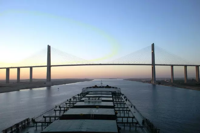 Comment le canal de Suez a bouleversé l'équilibre du vivant en Méditerranée